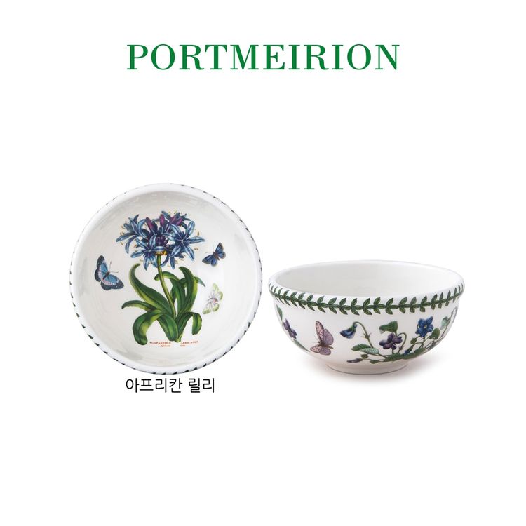 포트메리온 보타닉가든 대접 14cm55인치 D 아프리칸릴리 홈플러스 택배배송