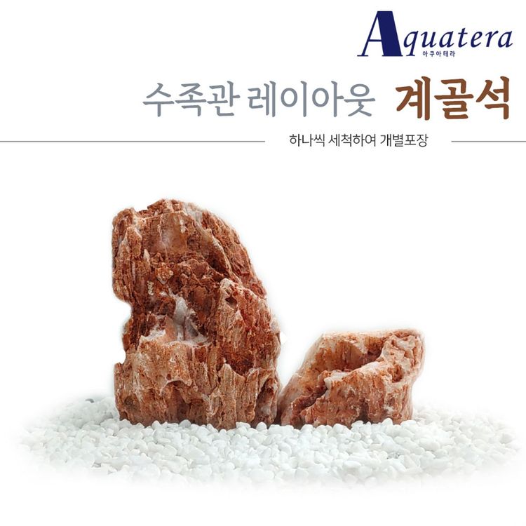 아쿠아테라 수족관 레이아웃 계골석 5kg 랜덤 홈플러스 택배배송