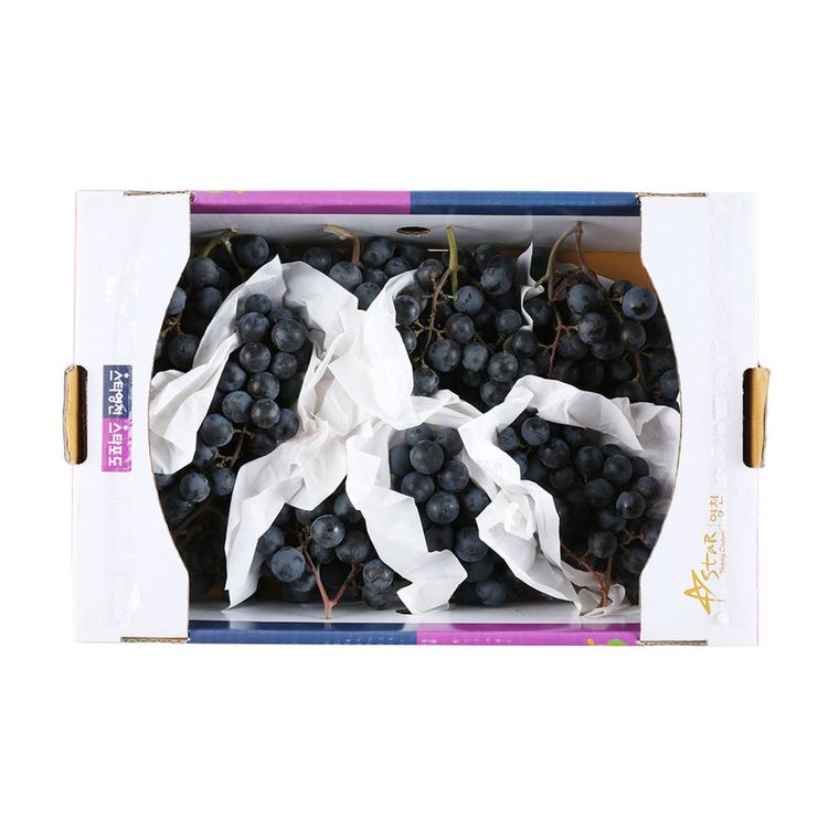 영동 머루포도 3KG(박스) | 홈플러스