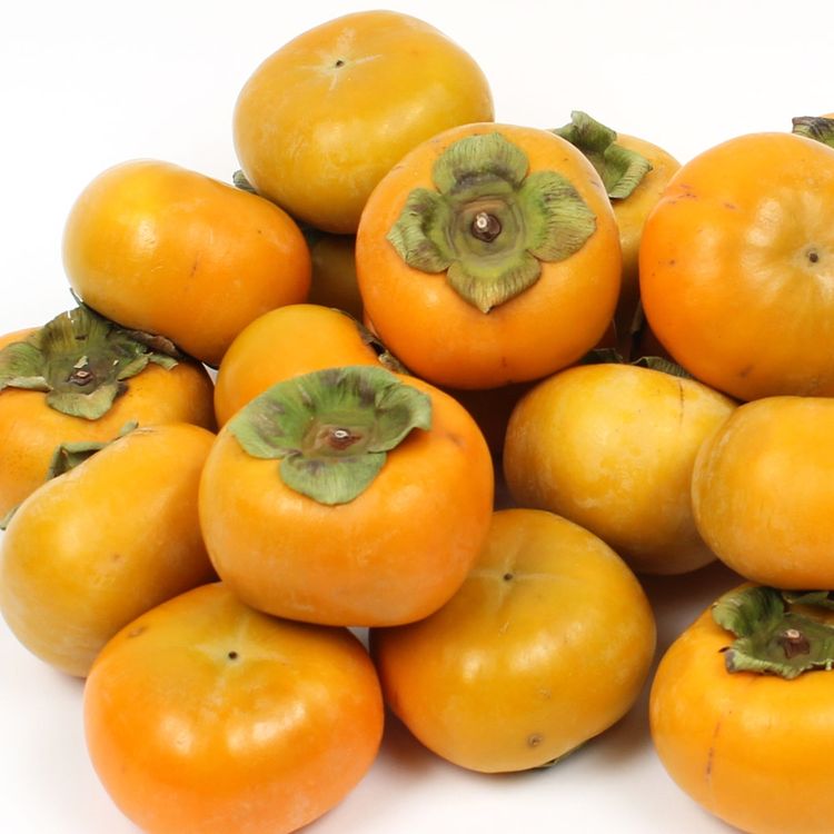 가을제철 가정용 햇 단감 2kg 13 16과소과 홈플러스 택배배송
