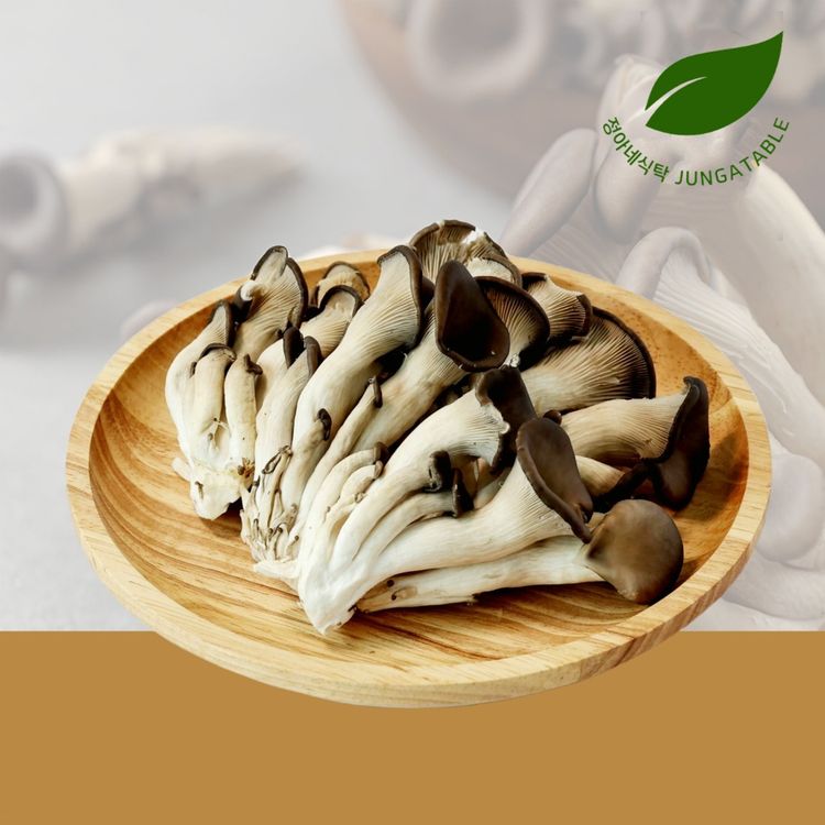정아네식탁 무농약 Gap 인증 느타리 버섯 200g×5팩 홈플러스 택배배송
