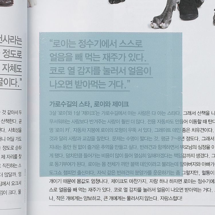 활용만점 반투명 점착메모지50매x10세트 노트메모지 홈플러스 택배배송