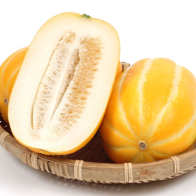 가정용 실속 성주 꿀 참외 5kg 실중량랜덤과 홈플러스 택배배송