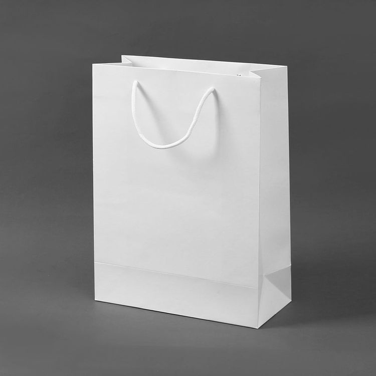 무지 세로형 쇼핑백 10p25x33cm 화이트 종이백 홈플러스 택배배송