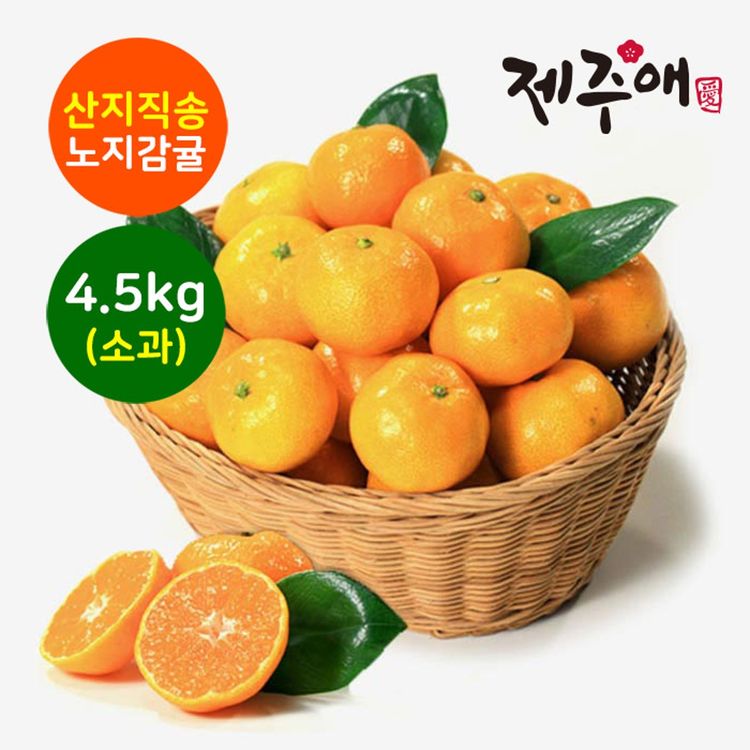 제주애 제주 산지직송 서귀포감귤 45kg소과2s 홈플러스 택배배송