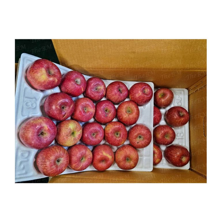 경북 영주 해나리 고당도 흠집사과 10kg 사과 홈플러스 택배배송
