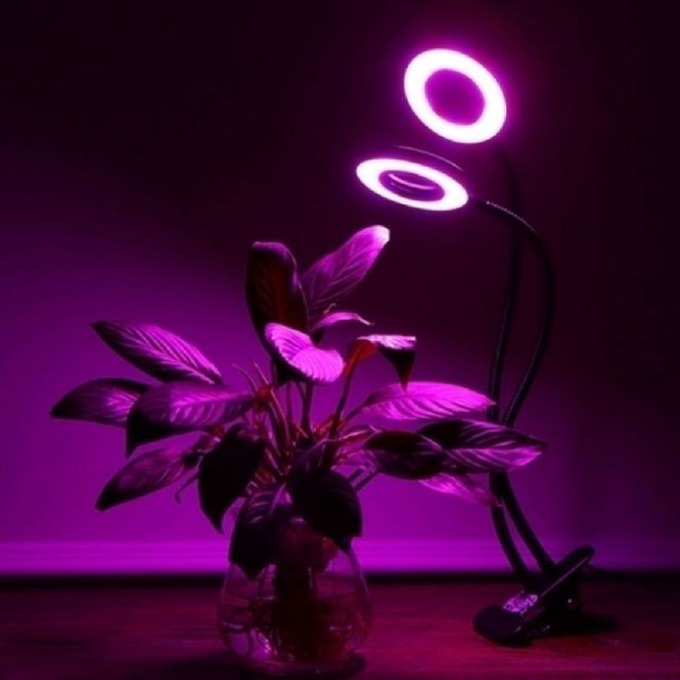 Usb 5v 식물성장 10w10w Led 자바라 듀얼 링 원형 홈플러스 판매자택배