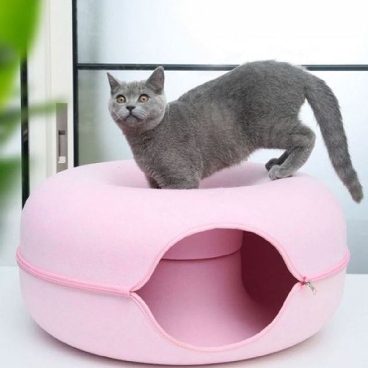터널 동굴 고양이 고양이하우스 도넛 60cm 숨숨집 터 홈플러스 택배배송