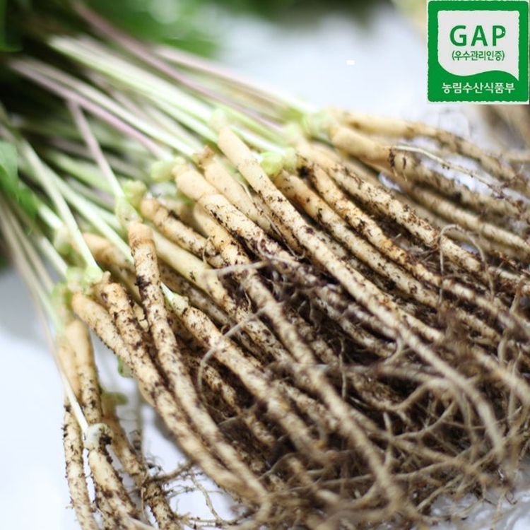 새싹삼 인삼 담양 Gap 2~3년근 명품 특대 30뿌리 35cm내외 홈플러스 택배배송