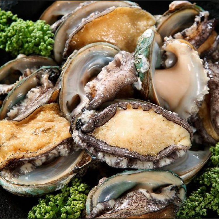 Fresh 완도산 산소포장 활전복 1kg 18 20미 전복칼증정 홈플러스 택배배송