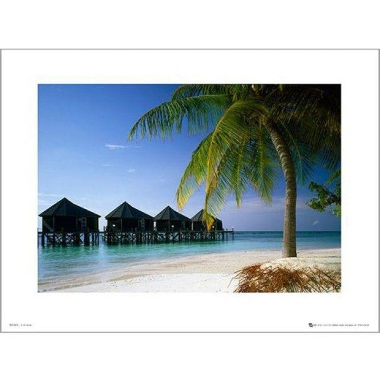 PDH00956 Tom Mackie - Beach (40x50)(포스터만) | 홈플러스 택배배송