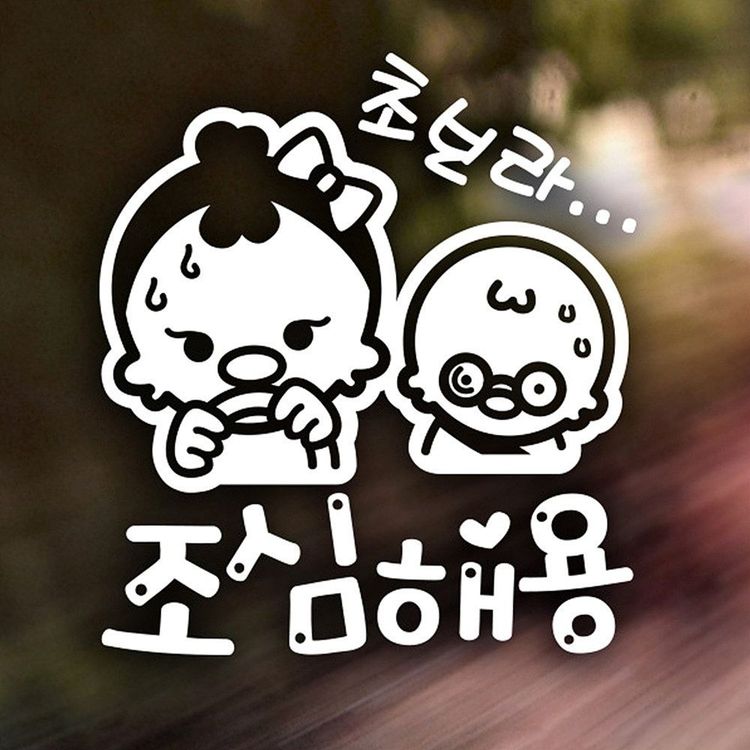 초보라조심해용 초보자동차스티커 아리모자 반사 홈플러스 택배배송