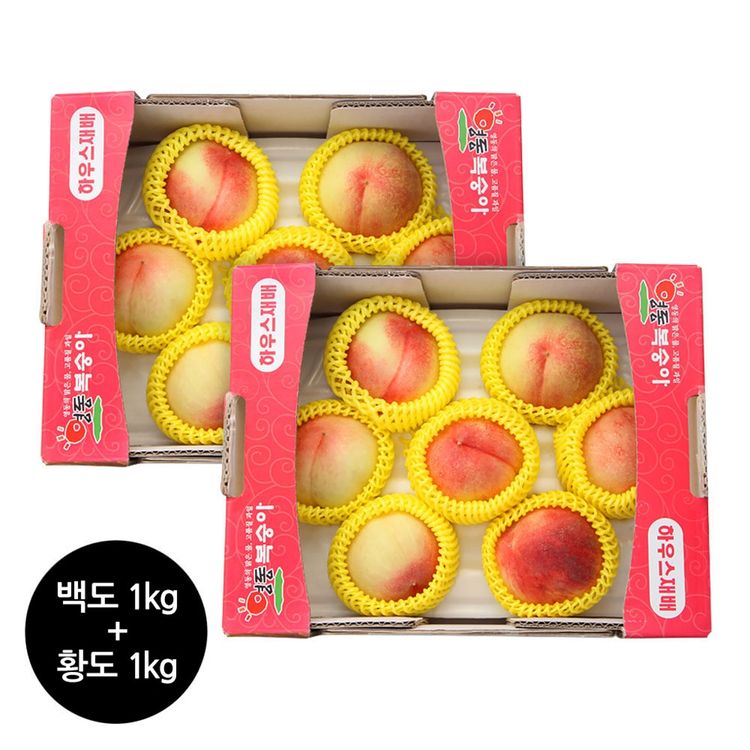 2023년 햇복숭아 당일수확발송 하우스 복숭아 백도 1kg황도 1kg 홈플러스 택배배송