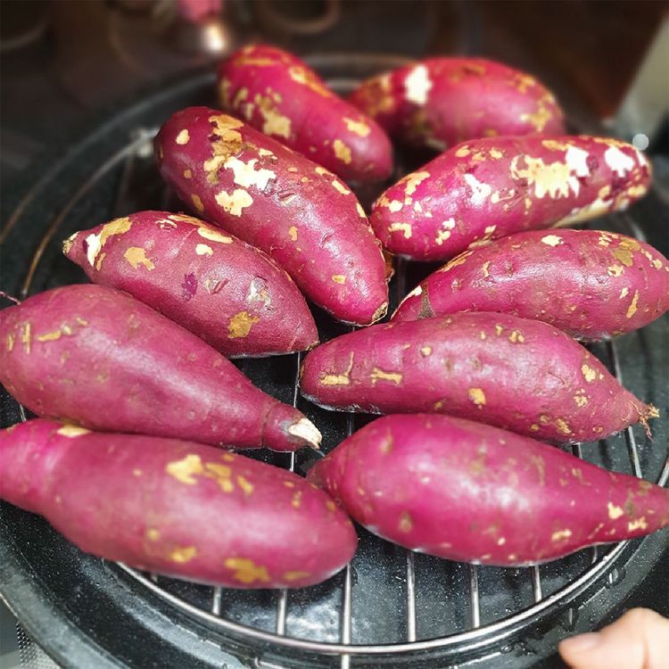 늘해랑 조은해남 세척 호박고구마 특상 10kg 꿀고구마 홈플러스 택배배송
