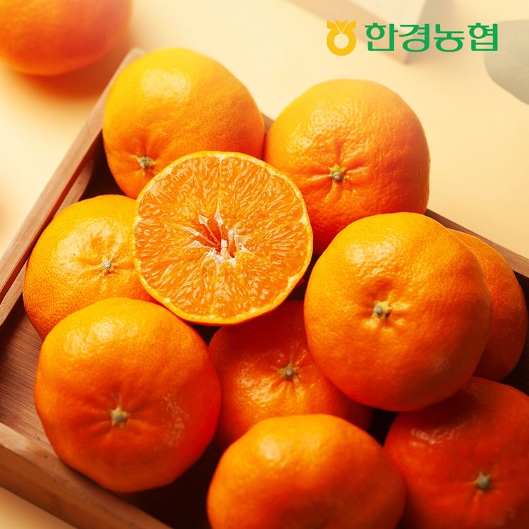 산지직송 한경농협 제주 레드향 2kg 소과12 16과 홈플러스 택배배송