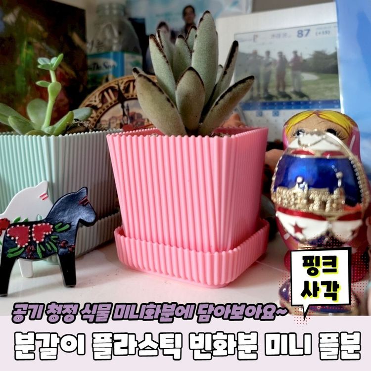 분갈이 플라스틱 빈화분 미니 플분 핑크 사각 홈플러스 택배배송