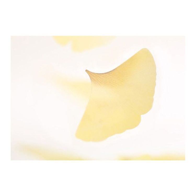 점착메모지 스티키메모지 투명은행 Yellow L 3p 점착식 메모잇 홈플러스 택배배송