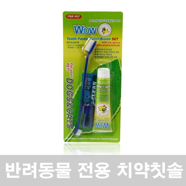 국산 애견전용 치약치솔세트 녹차함유 홈플러스 택배배송