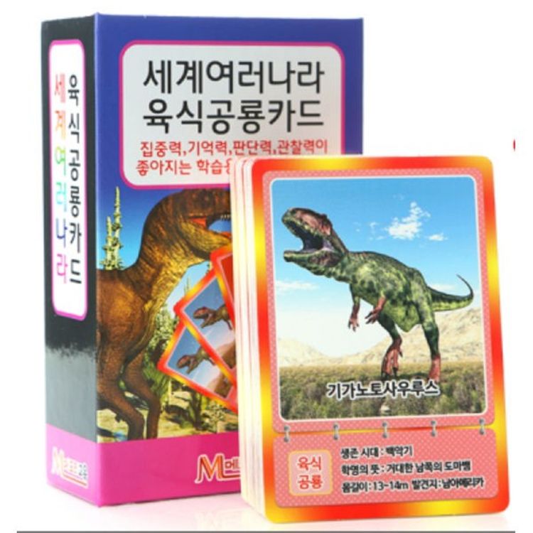 메모리교육 매칭게임 육식공룡 홈플러스 택배배송