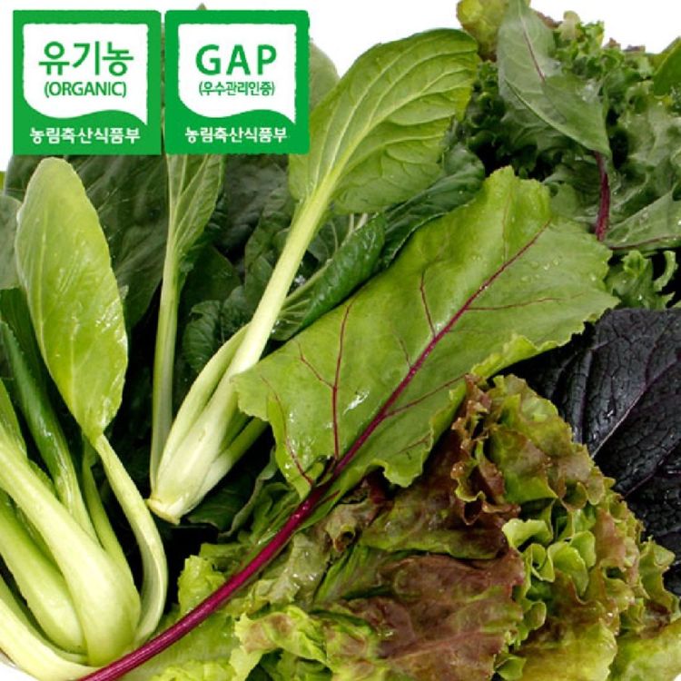 초록내음 충북충주 산지직송 Gap인증 유기농 쌈채소 1kg 홈플러스 택배배송