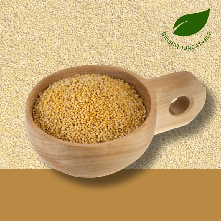 정아네식탁 국내산 찰기장쌀 500g 홈플러스 택배배송