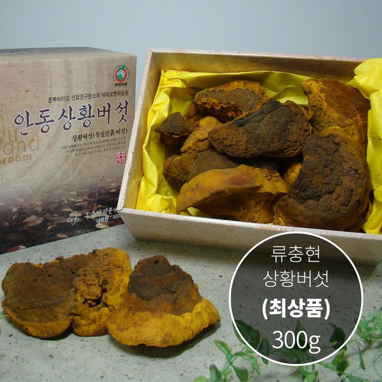 류충현 명장 국내산 무농약 상황 버섯 300g 최상품 홈플러스 택배배송