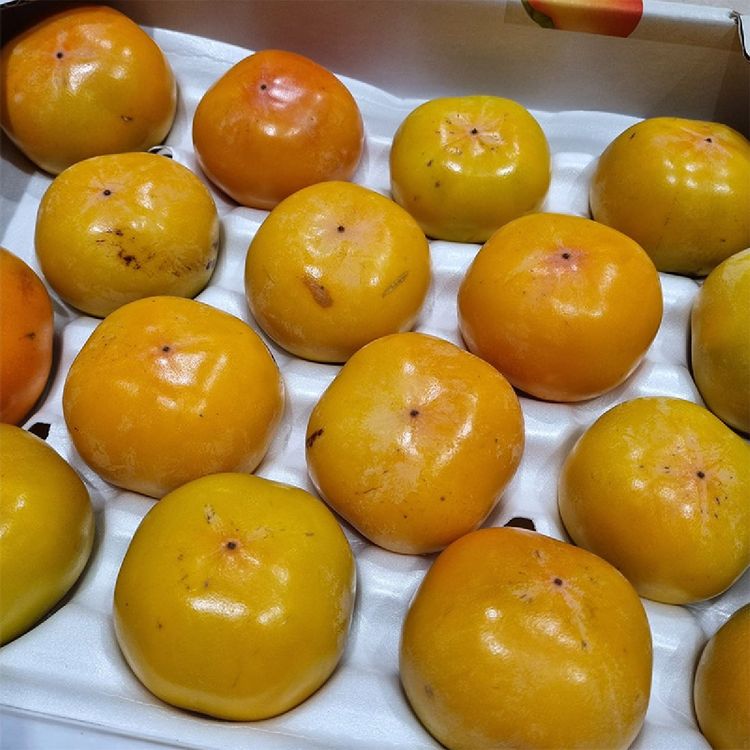 프레쉬푸드 국내산 산지직송 청도 반시 특대과 25kg 15과 내외 홈플러스 택배배송