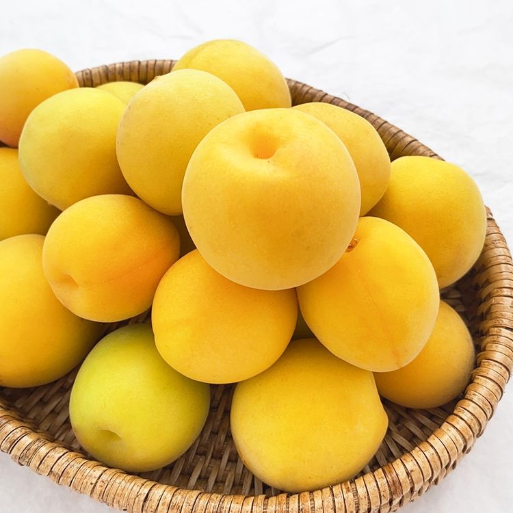 산지직송 국내산 황토 토종 황매실 10kg 내외 액기스용gap인증 홈플러스 택배배송