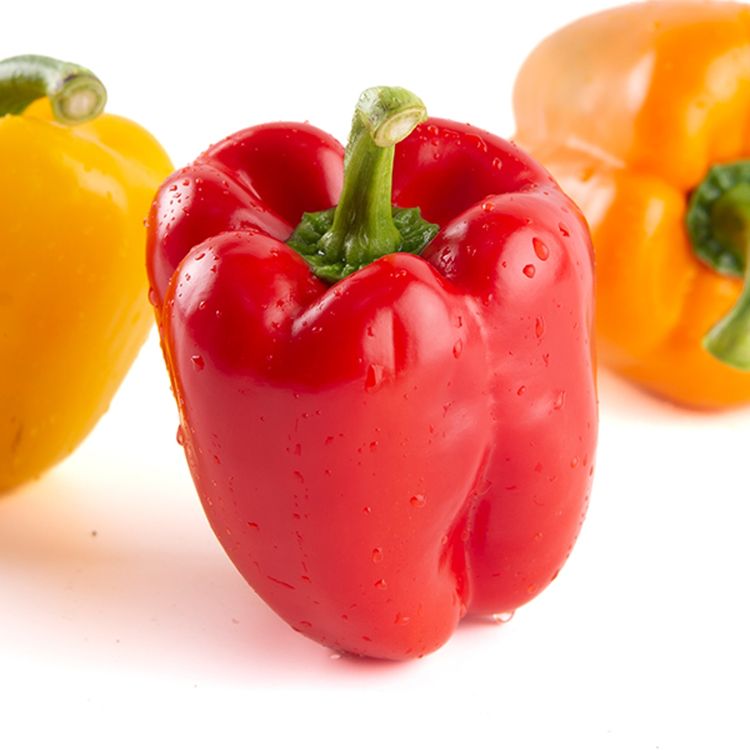 파프리카 6개입 1kg 홈플러스 택배배송