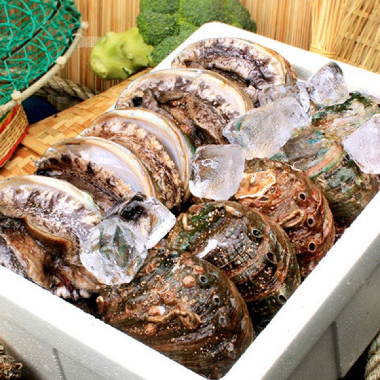완도 산지직송 전복 13 14미 선물 답례품 대한노인회완도군지회 홈플러스 택배배송