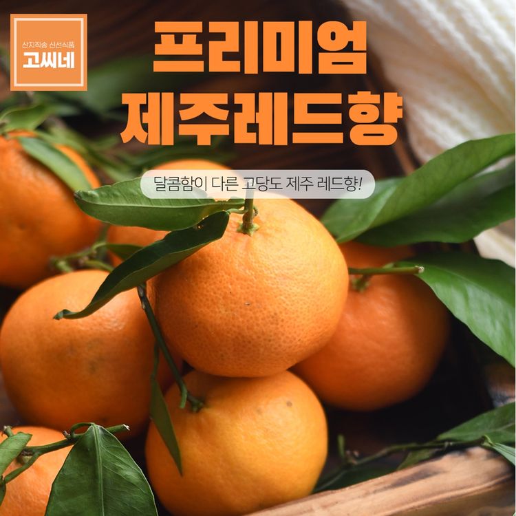 고씨네 프리미엄 레드향2kg 한라봉 천혜향 제주감귤 홈플러스 택배배송