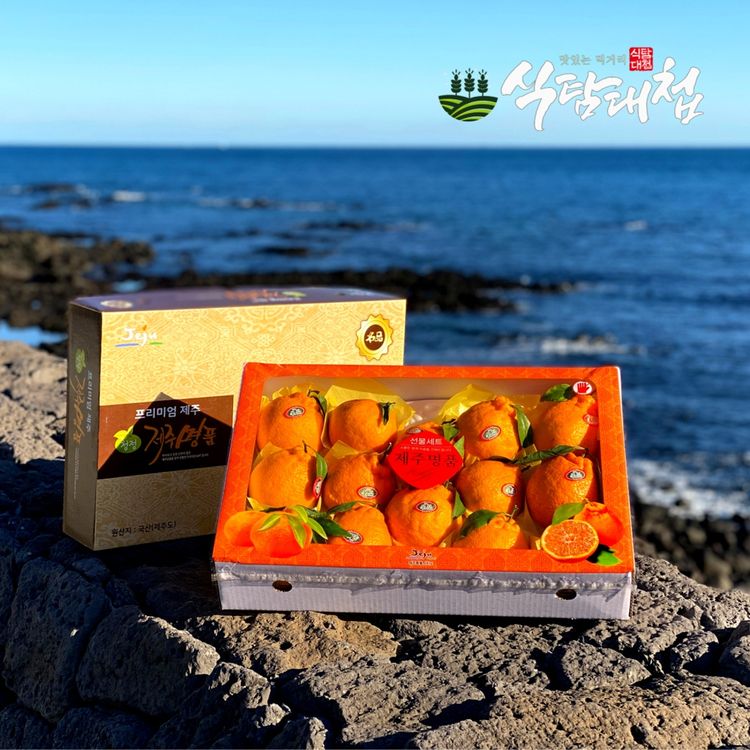 식탐대첩 제주 한라봉 선물세트 5kg 특품 홈플러스 택배배송
