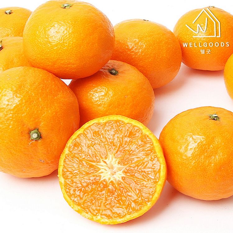 [산지직송] 제주 카라향 4.5kg(19-28과,대과,15brix이상) | 홈플러스 택배배송