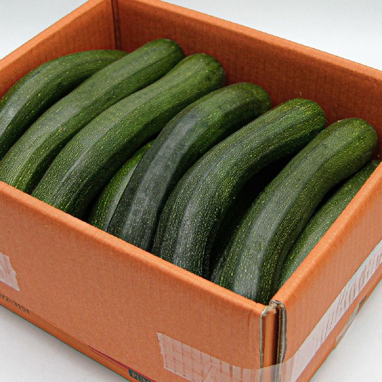 국내산 특품 쥬키니호박 반박스 5kg 쥬키니 가락시장 당일새벽경매 홈플러스 택배배송