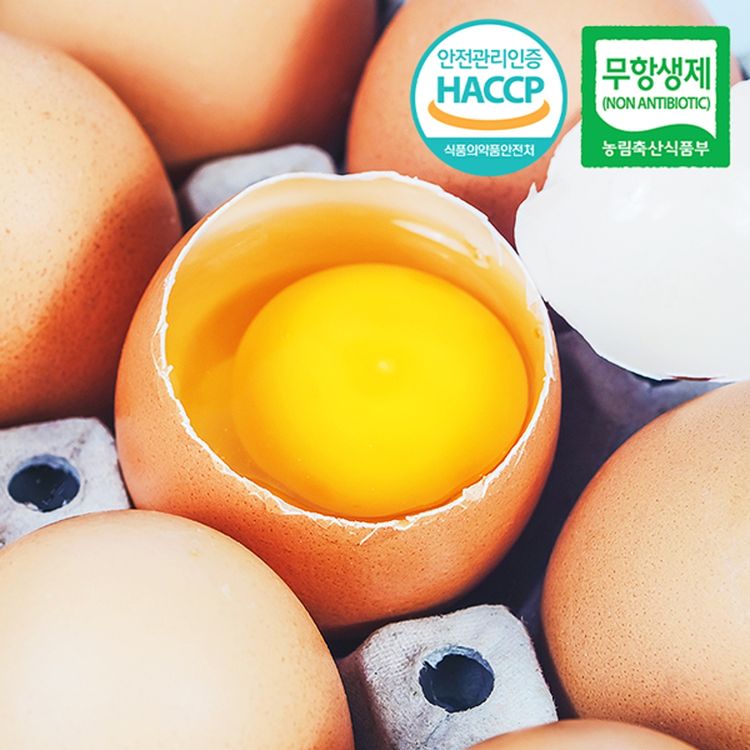 무항생제haccp 농장직송 웰굿 신선한 계란 20구1판대란 홈플러스 택배배송