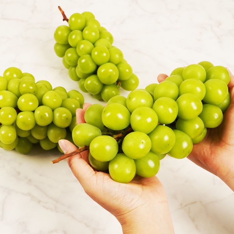 샤인머스켓 알뜰 2kg 4수 홈플러스 택배배송
