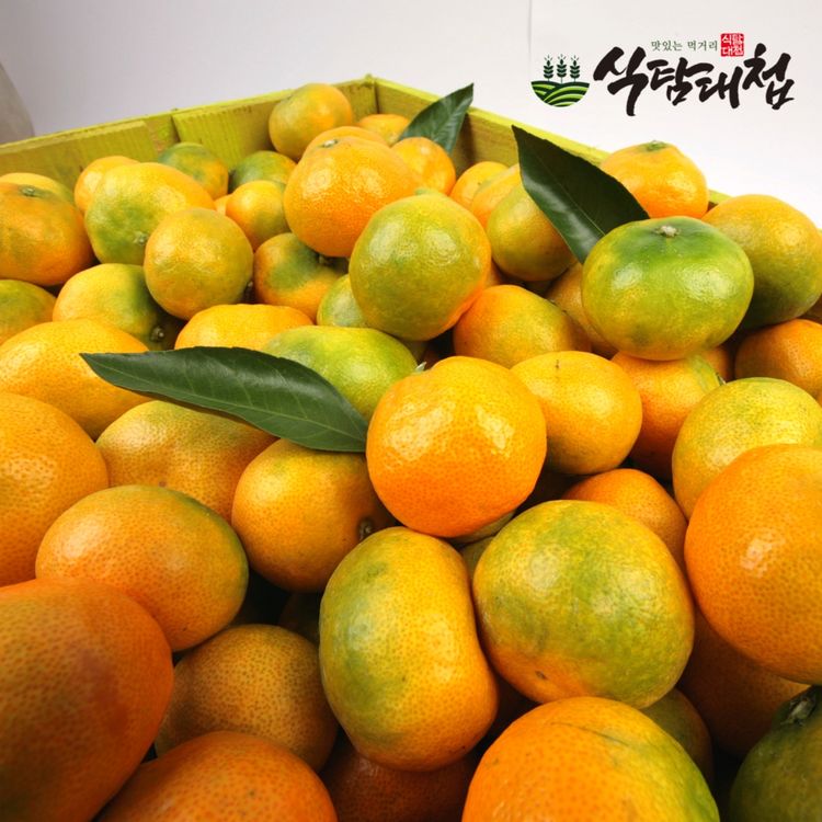 제주 오용수 농부 제주 하우스 감귤 가정용 2kg 대과 홈플러스 택배배송