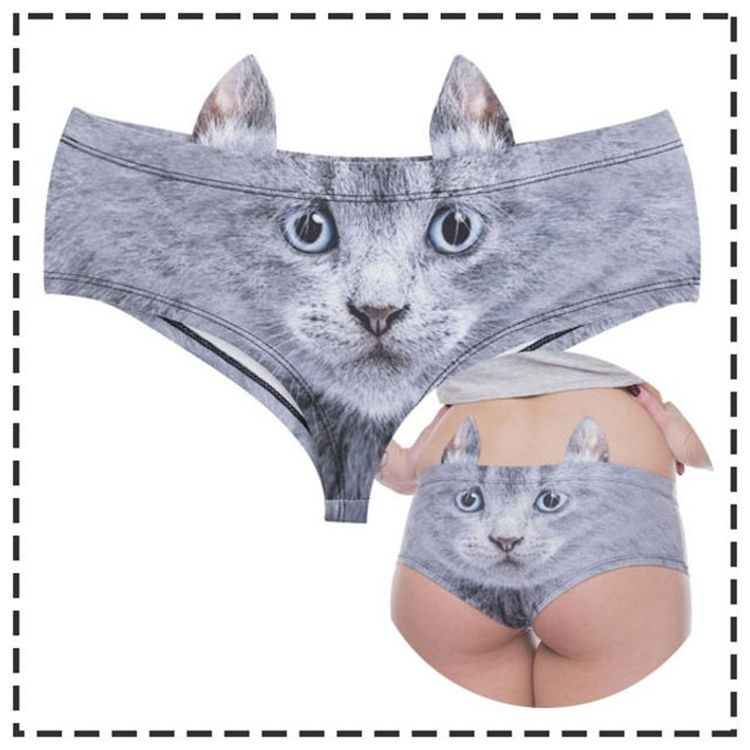 회색고양이 실용적인 N61914ab78d 애니멀팬티 프린팅 여성팬티 홈플러스 택배배송