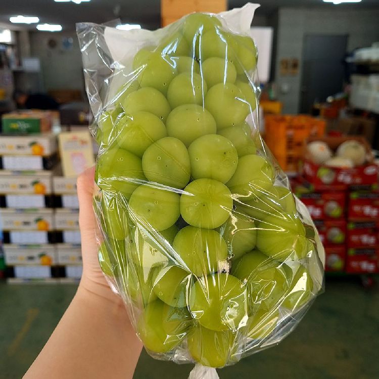 김천 샤인머스켓 1kg 1수 왕특 망고포도 상주 샤인머스켓 선물 씨없는 청포도 선물용 샤인 홈플러스 택배배송