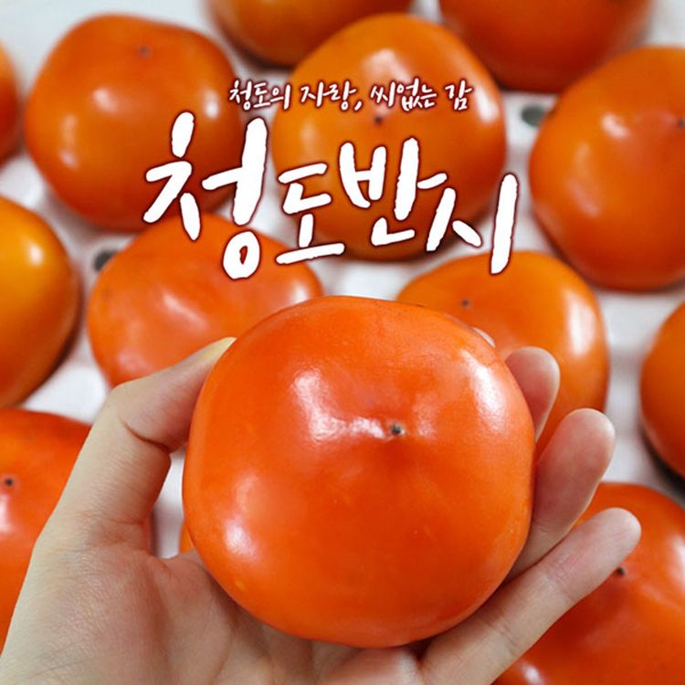 후레쉬앤푸드 씨없는 홍시용 청도반시 중대과 5kg 31~35과 홈플러스 택배배송