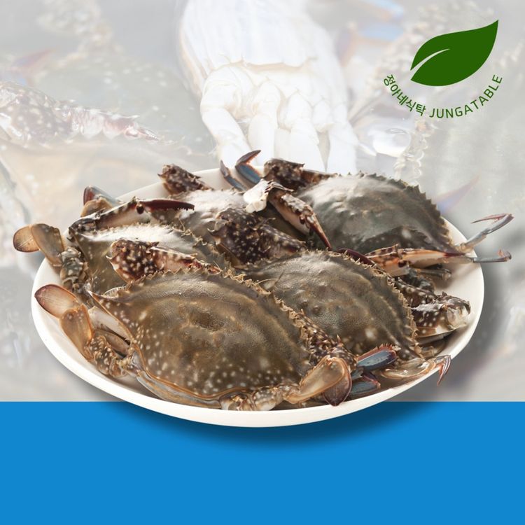 정아네식탁 바로급냉 연평도 큰 암꽃게 3kg 6 9미 홈플러스 택배배송