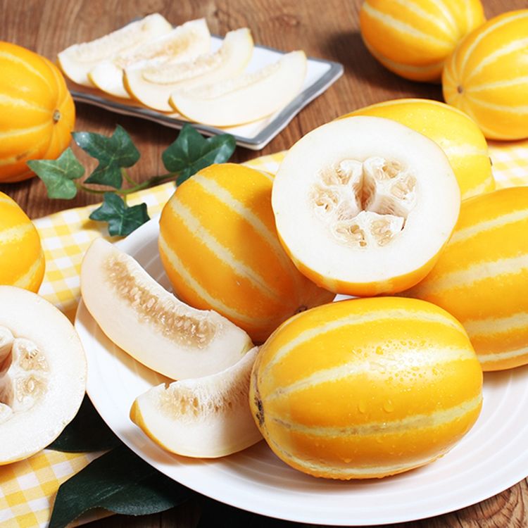 산지직송 성주 꿀 참외 3kg특품 6~12과 실중량대중과 홈플러스 택배배송