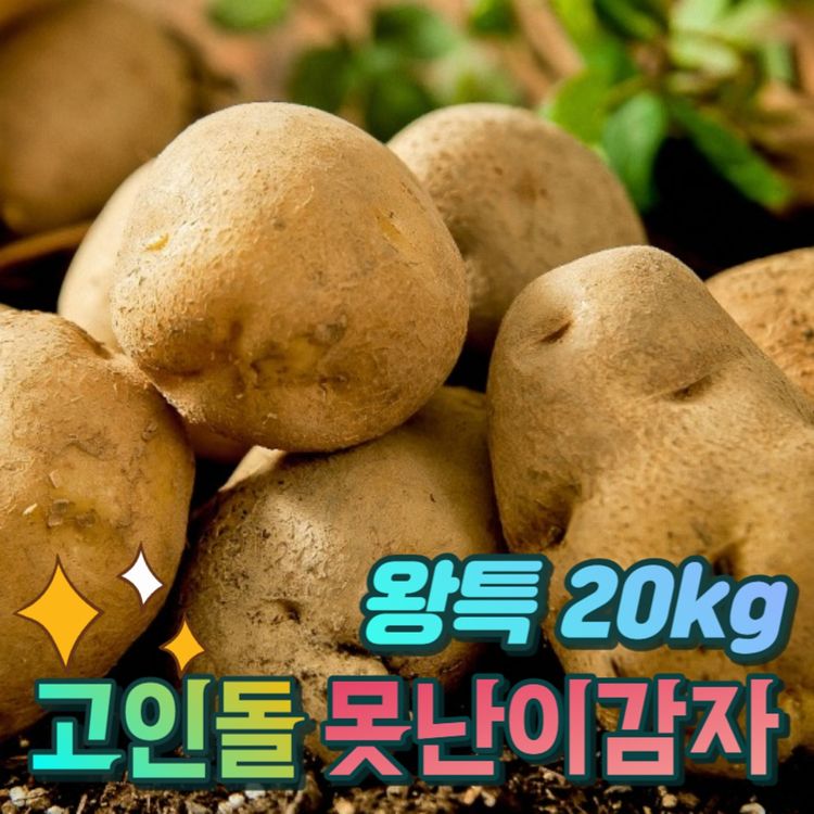 고인돌 햇 못난이감자 요리용 왕특 감자20kg 홈플러스 택배배송