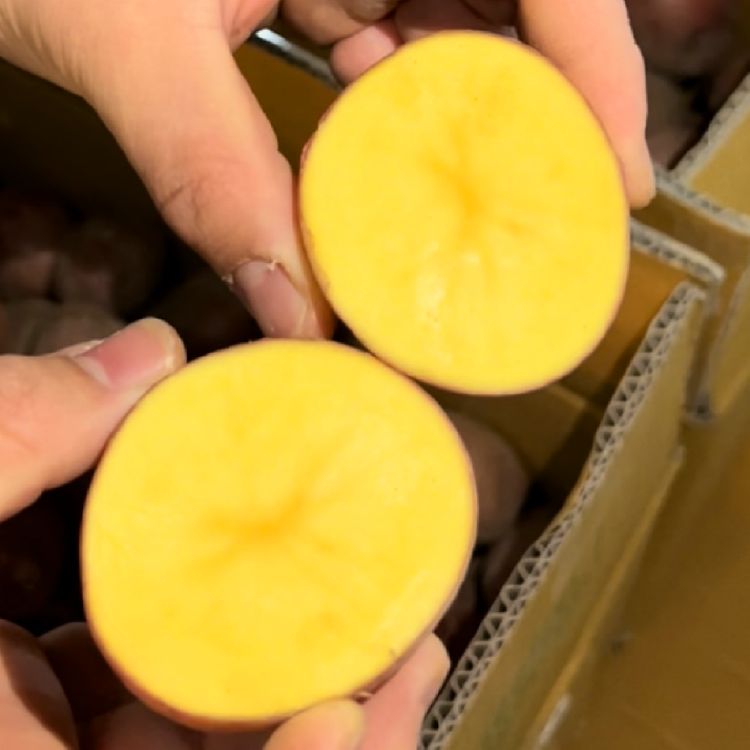 홍감자 카스테라 감자 중m 10kg 홈플러스 택배배송