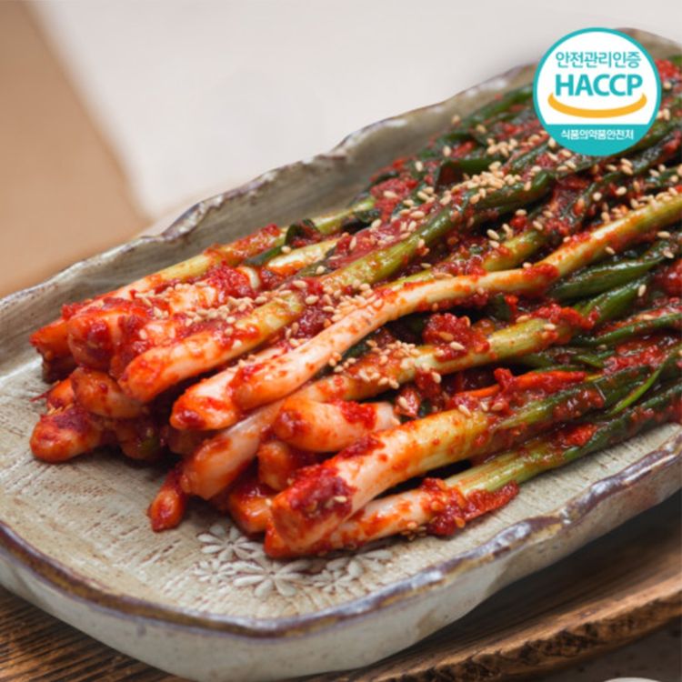 국중석 맛있는 전라도 명품 별미 파김치 10kg 홈플러스 택배배송