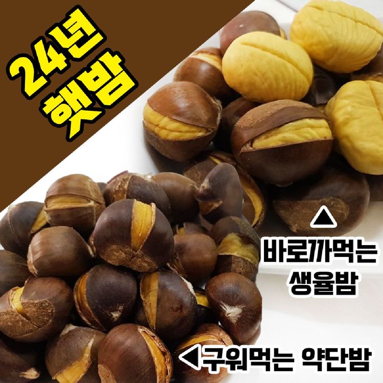 24년 명품 햇 약단밤 프리미엄급 1kg1kg 칼집약단밤구워먹는밤 홈플러스 택배배송