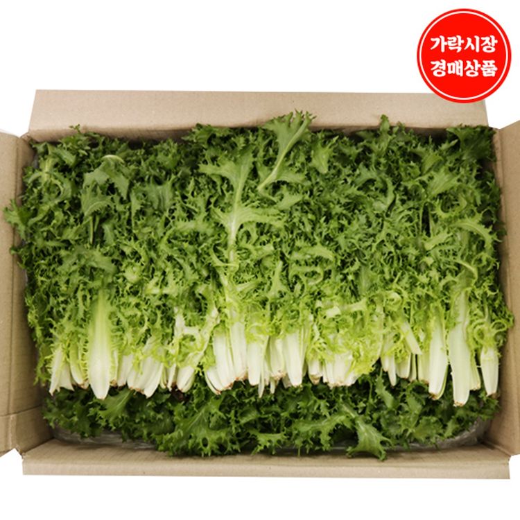 가락시장 경매 식자재 채소 치커리 2kgbox 홈플러스 택배배송
