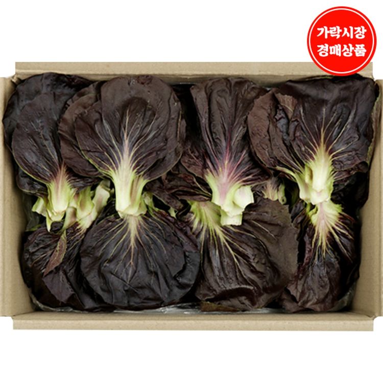 가락시장 경매 식자재 채소 레드치커리 2kgbox 홈플러스 택배배송