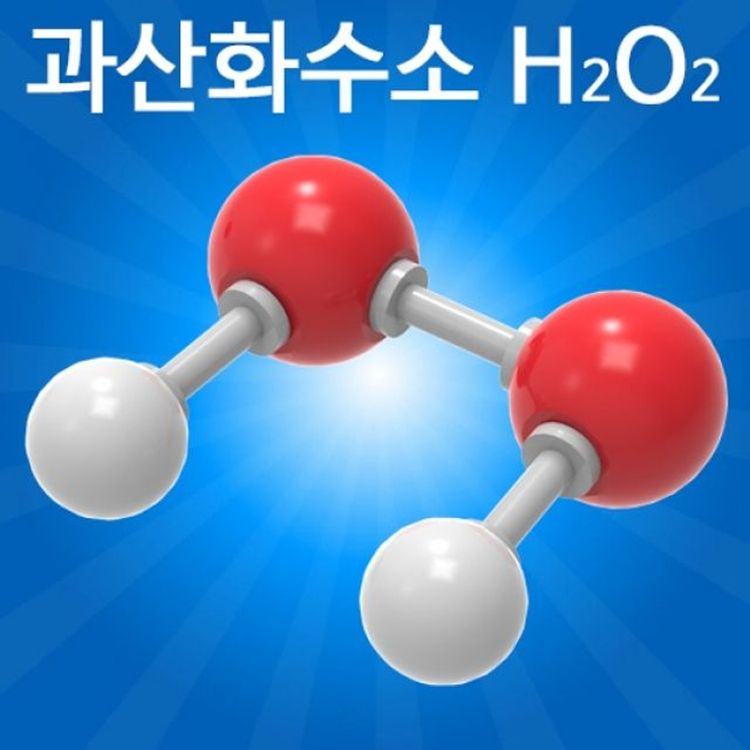 분자구조 만들기 수소산소 과산화수소 5인용 홈플러스 택배배송