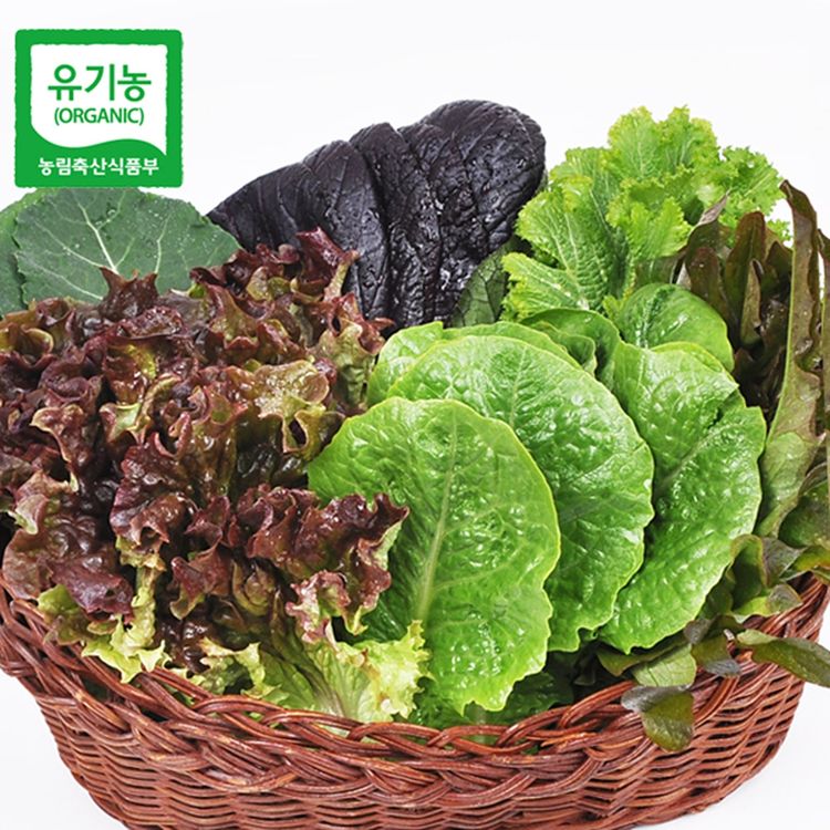당일수확 충주 유기농 모듬 쌈채소 1kg 홈플러스 판매자택배